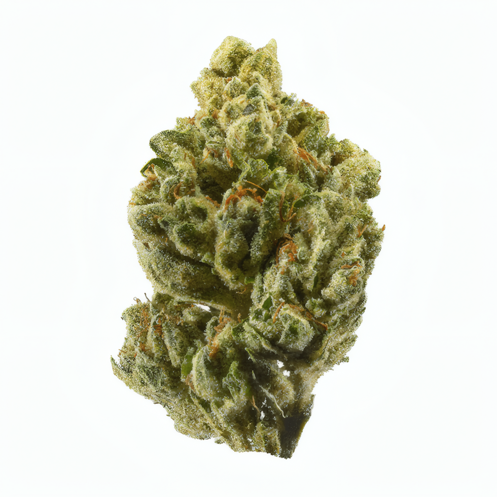 24-karatz - Hybrid – Token Hemp